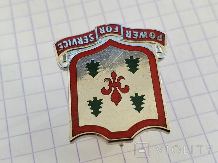 43rd Engineer Battalion "Power for Service" (110153181) - купити Violity